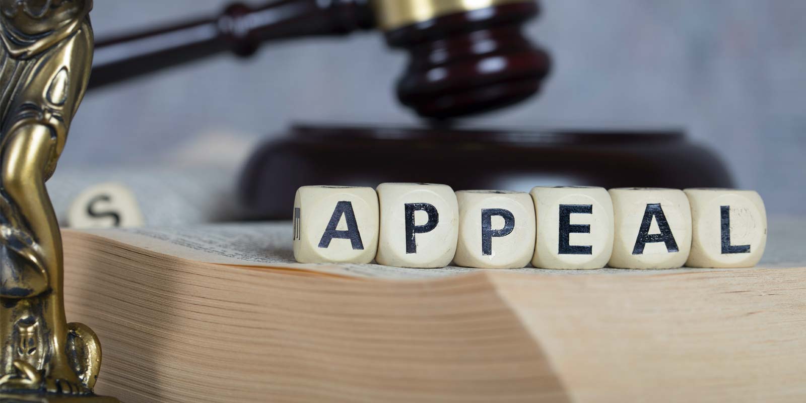 Appeals - Milstein Siegel